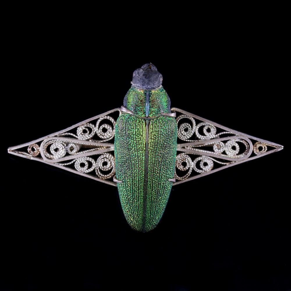 Antique French Scarab Beetle Brooch Art Nouveau Circa 1900 – Laurelle ...