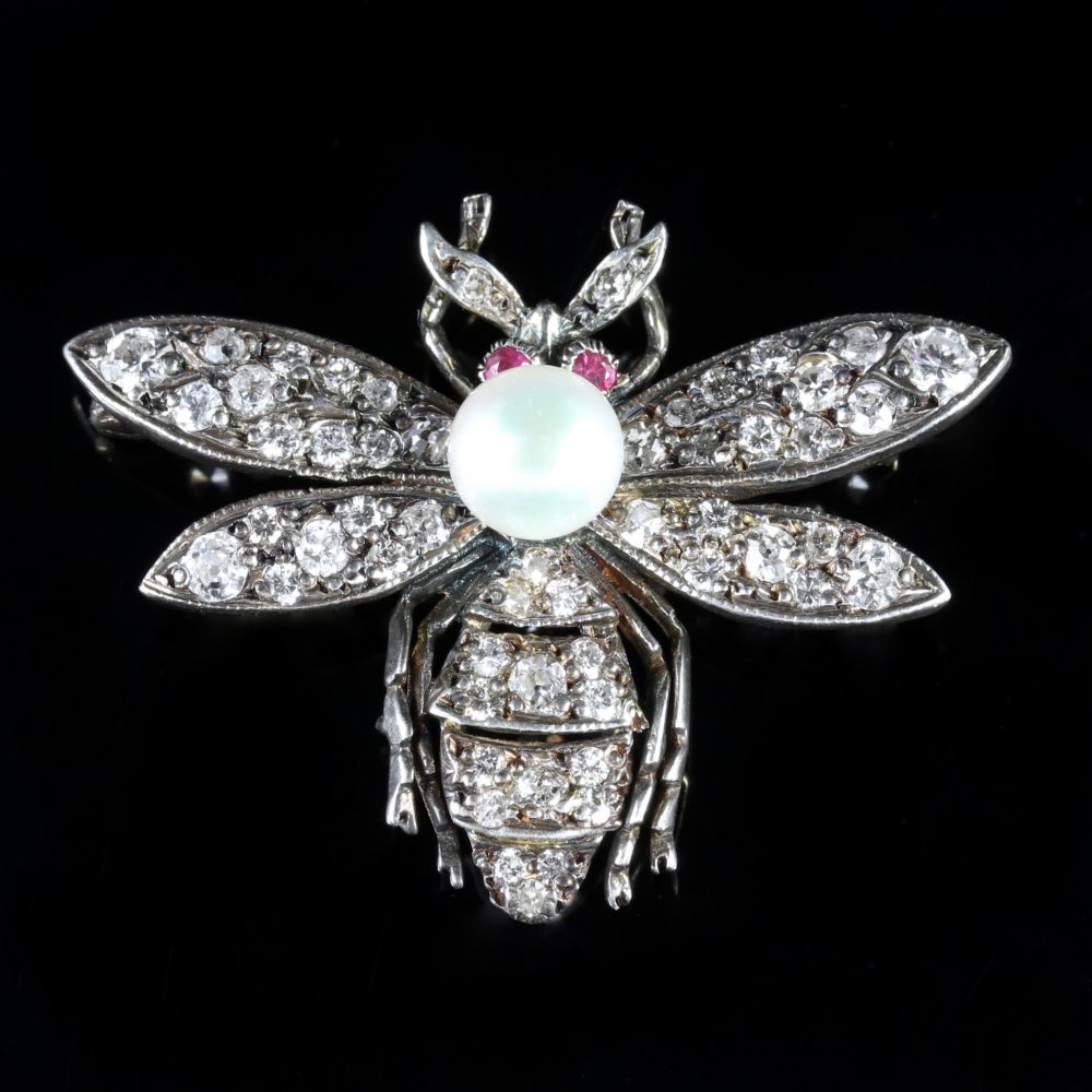 Diamond Pearl Ruby Bee Brooch – Laurelle Antique Jewellery