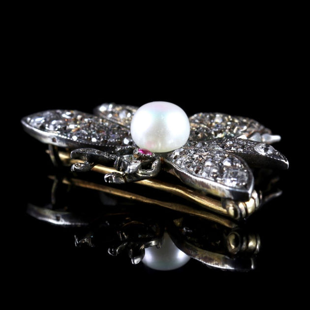 Diamond Pearl Ruby Bee Brooch – Laurelle Antique Jewellery